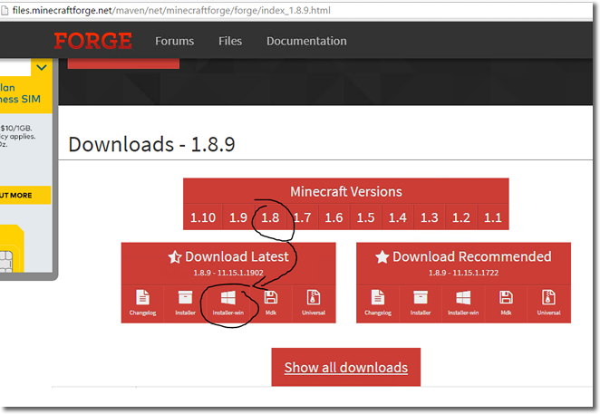Installing a Forge Server manually